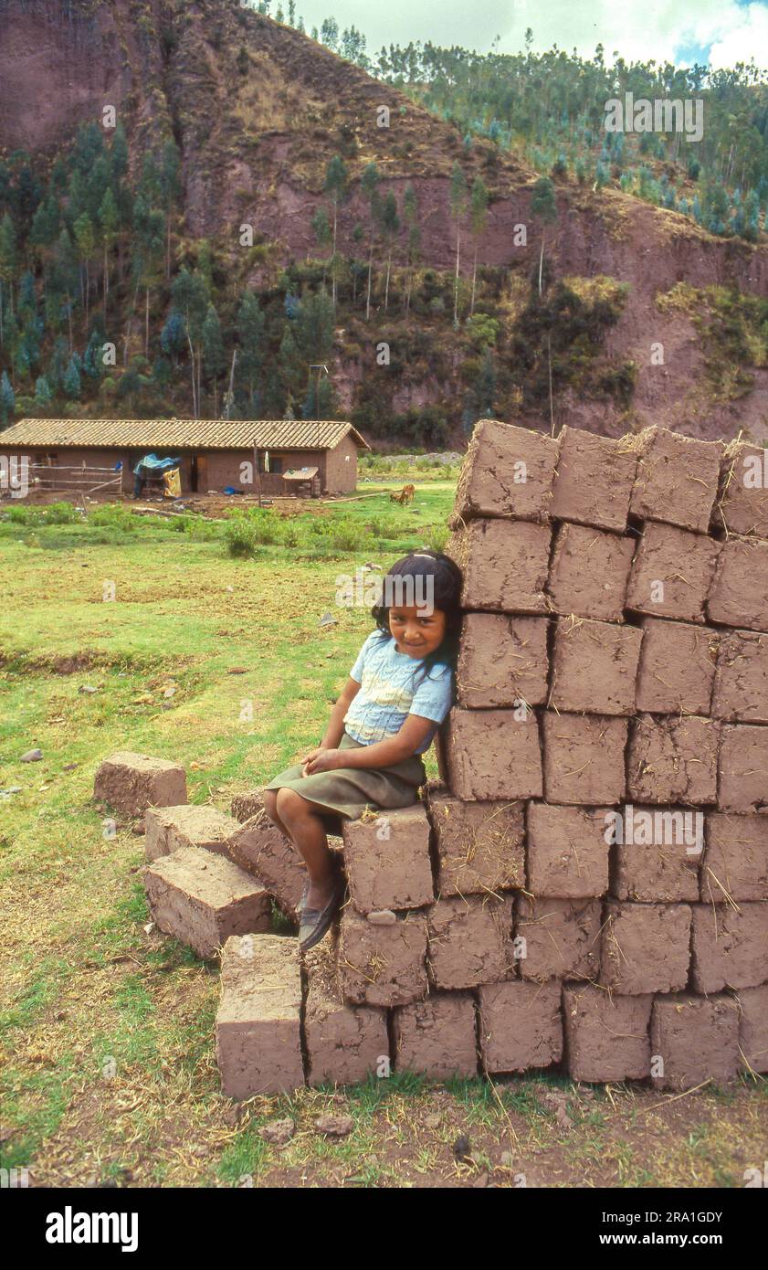 Peru, Cusco region; Adobe stones, a mix of clay, sand and small stones ...