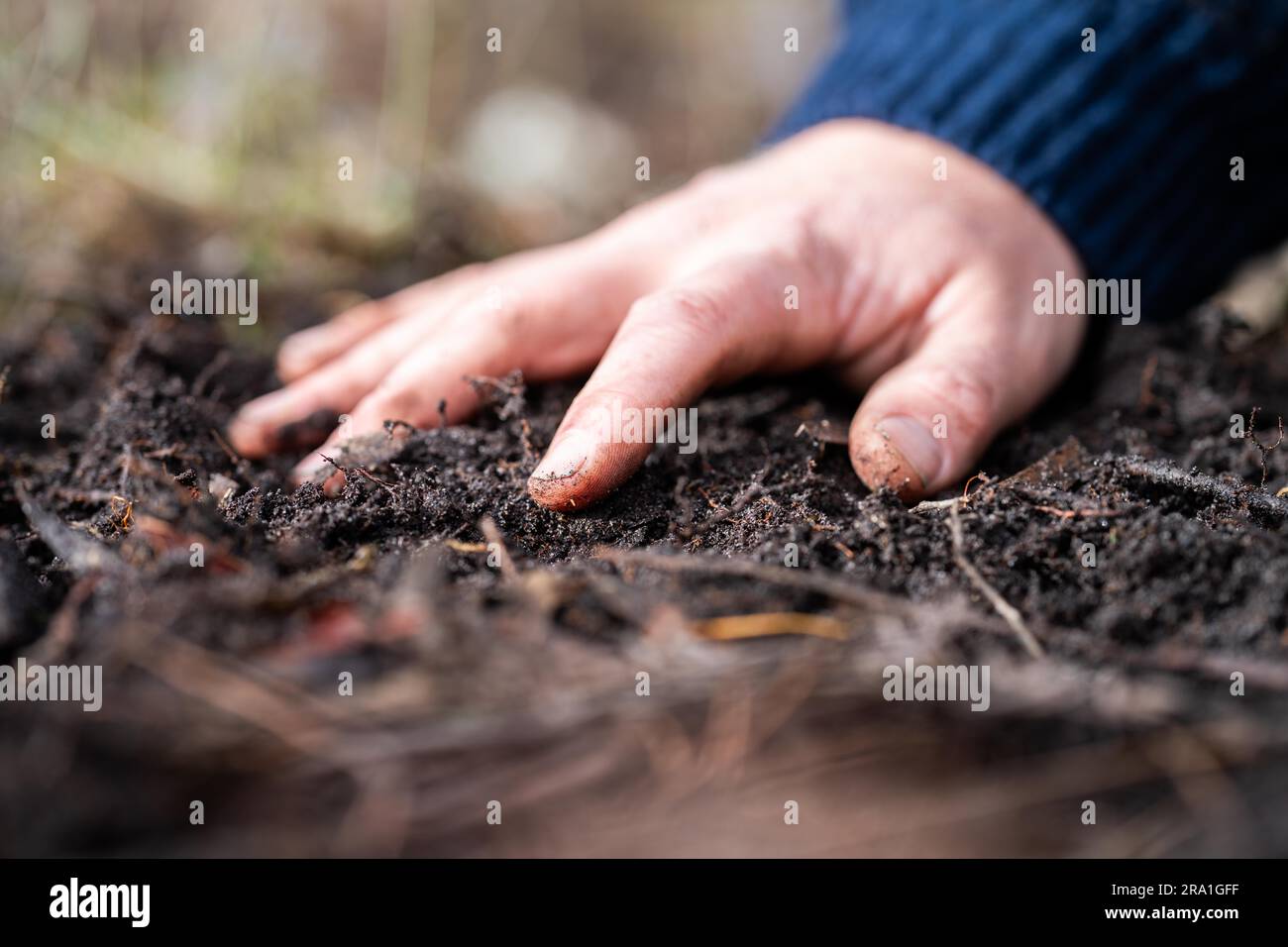 farmer studying a soil and plant sample in field. scientist in a ...