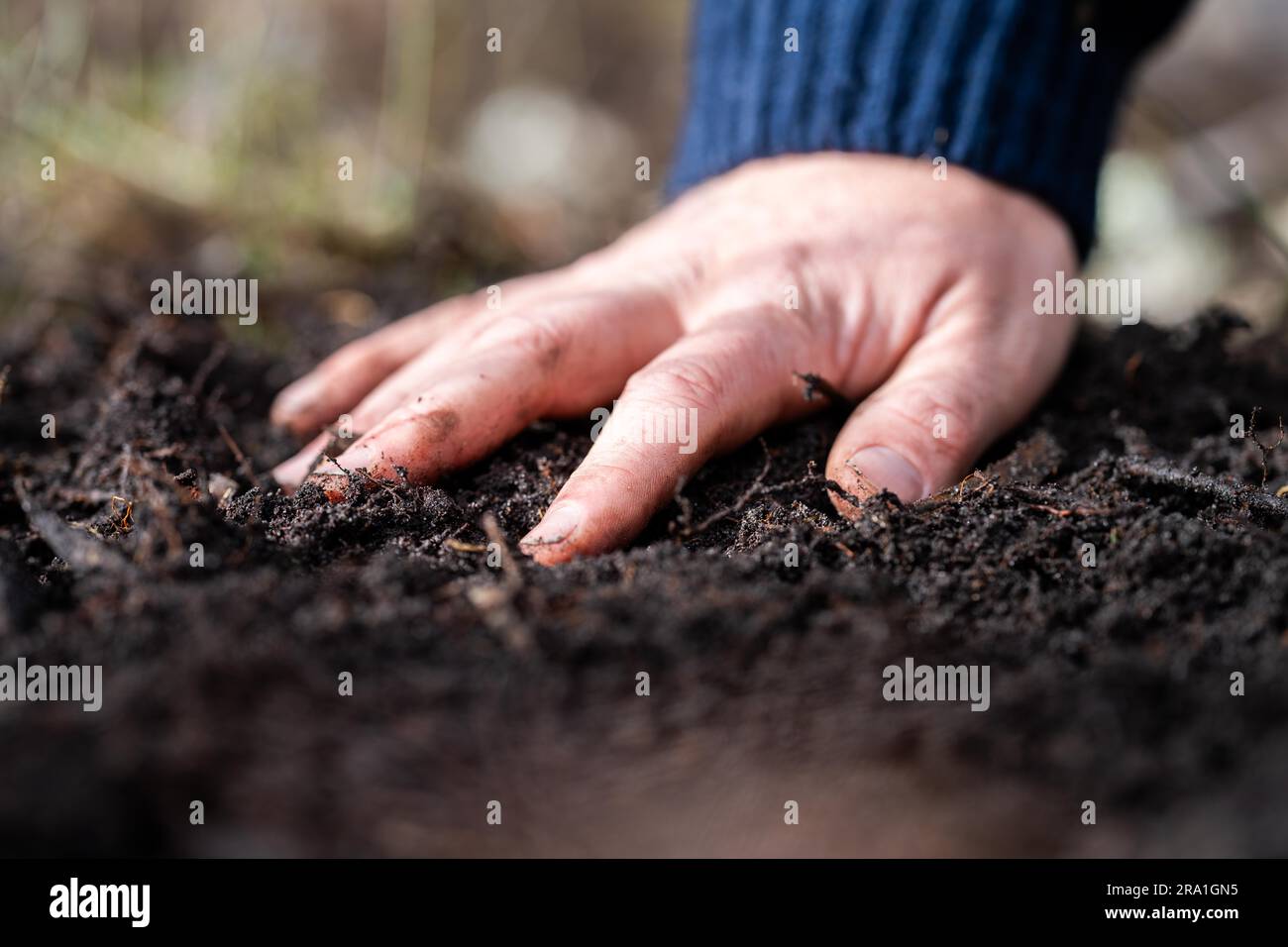 regenerative organic farmer, taking soil samples and looking at plant ...