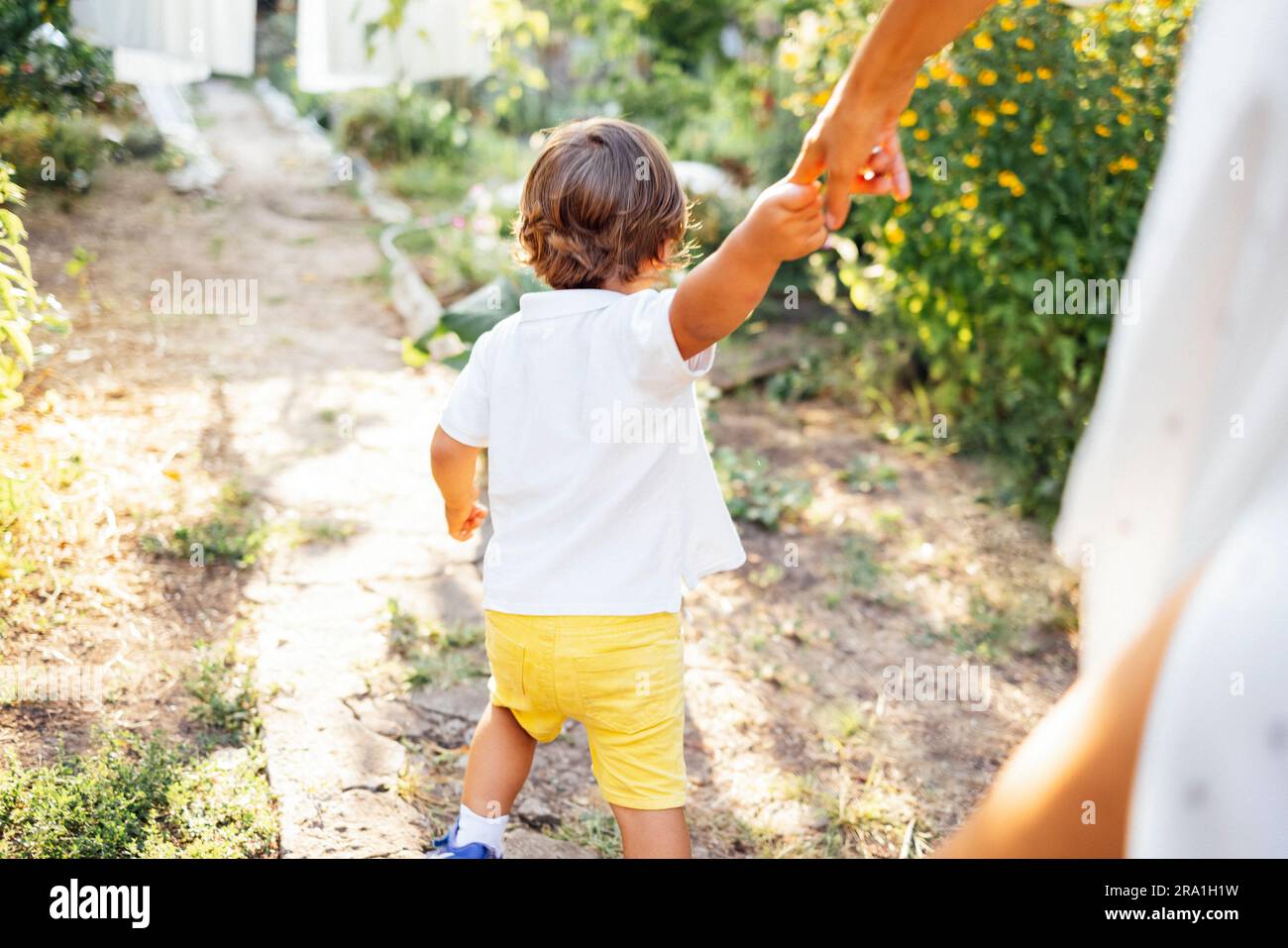 Little boy toddler is walking hand in hand with his mother along path ...