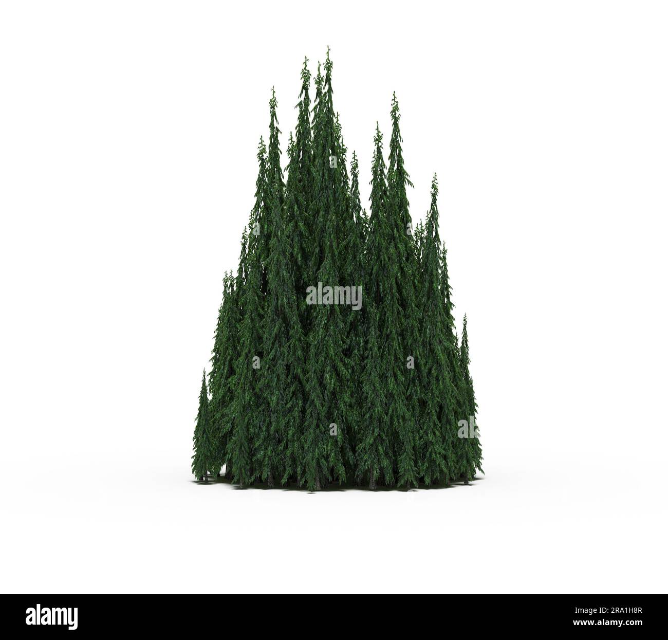 group of trees with a shadow on the ground, isolated on a white ...