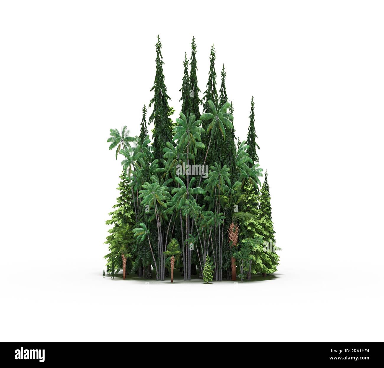 group of trees with a shadow on the ground, isolated on a white ...