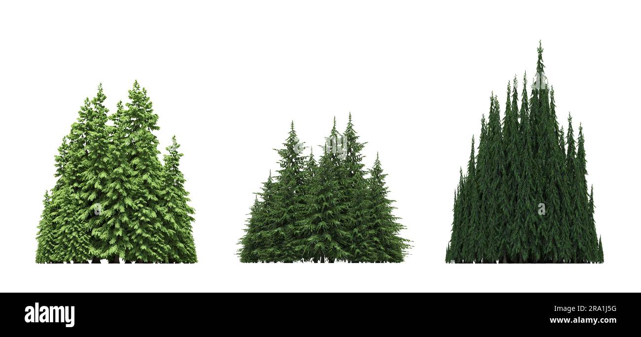 group of trees isolated on a white background, forest, sketch, outline ...