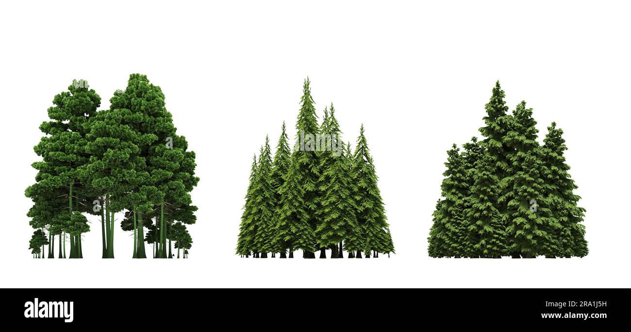 group of trees isolated on a white background, forest, sketch, outline ...