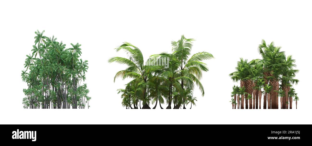 group of trees isolated on a white background, forest, sketch, outline ...