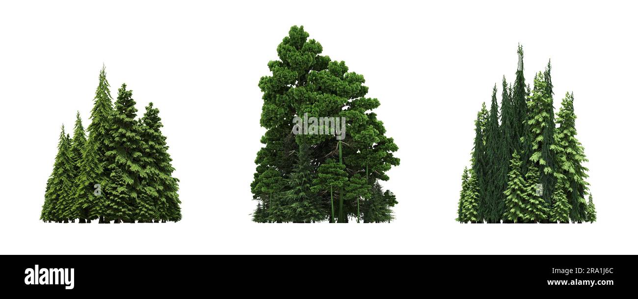 group of trees isolated on a white background, forest, sketch, outline ...