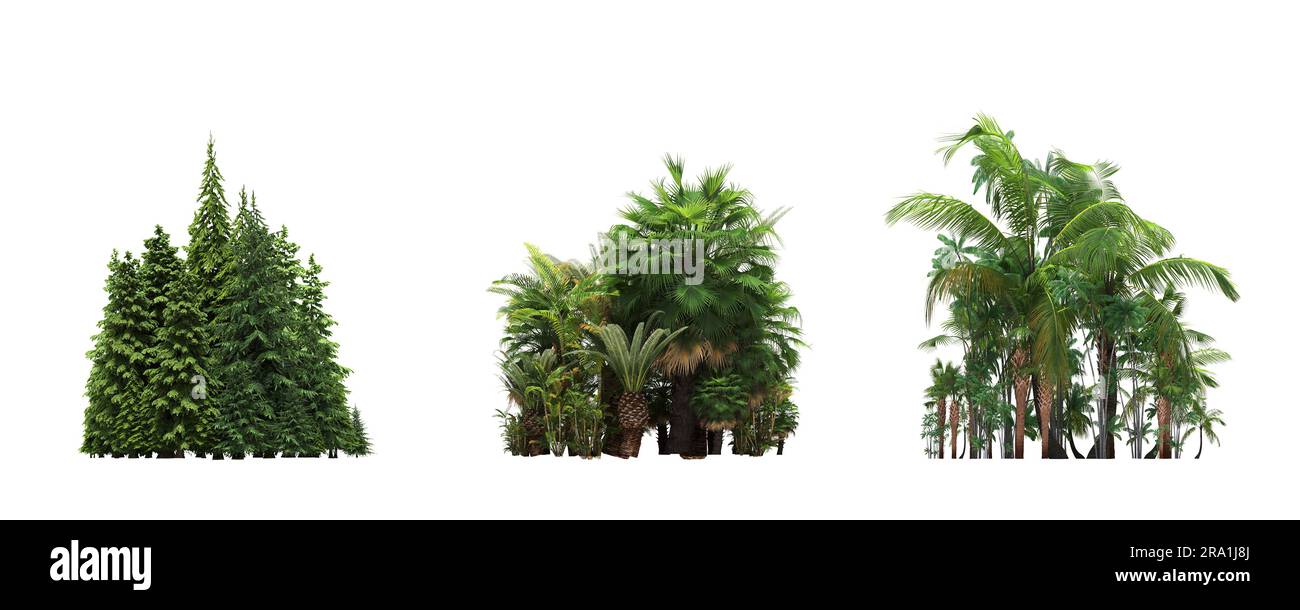 group of trees isolated on a white background, forest, sketch, outline ...