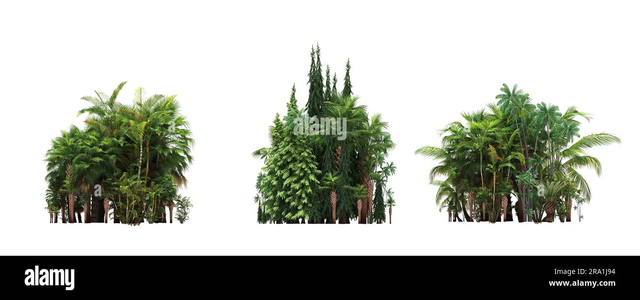 group of trees isolated on a white background, forest, sketch, outline ...