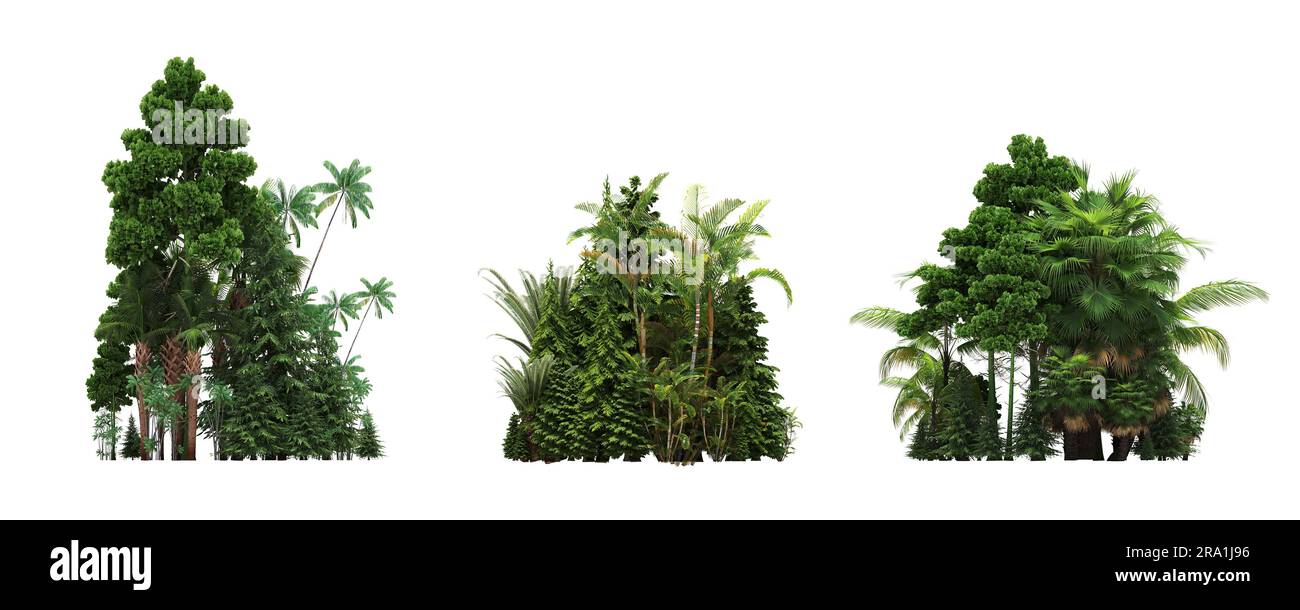 group of trees isolated on a white background, forest, sketch, outline ...