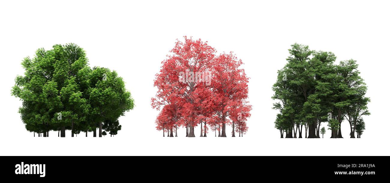 group of trees isolated on a white background, forest, sketch, outline ...