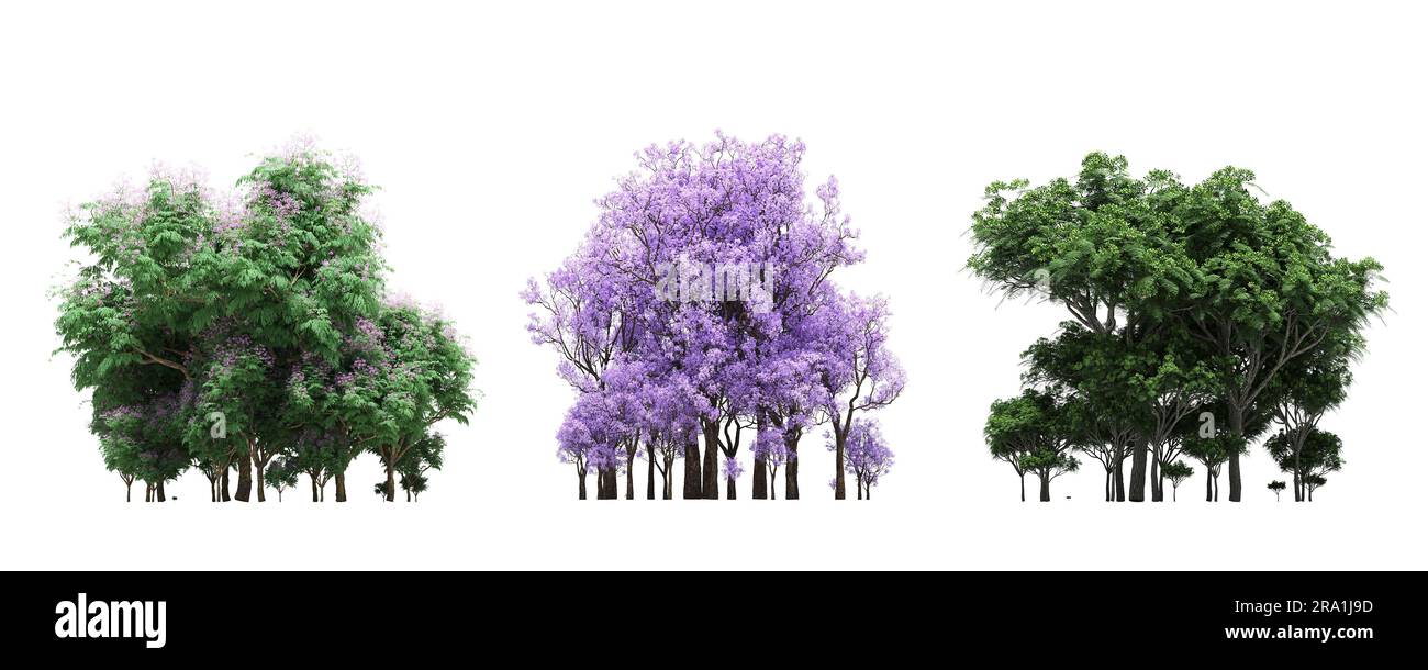 group of trees isolated on a white background, forest, sketch, outline ...