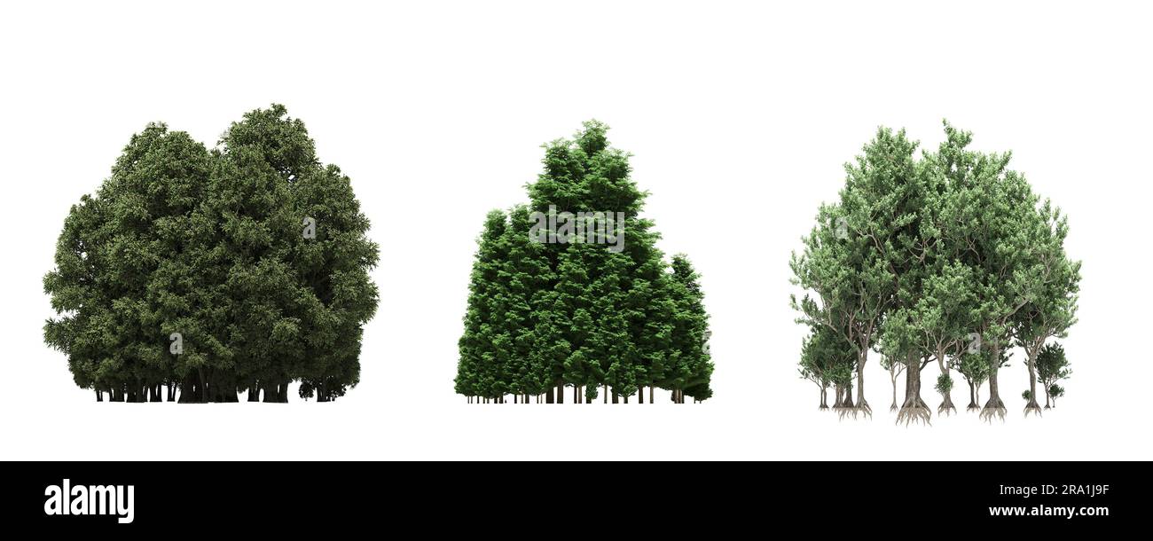 group of trees isolated on a white background, forest, sketch, outline ...