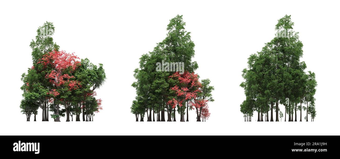 group of trees isolated on a white background, forest, sketch, outline ...