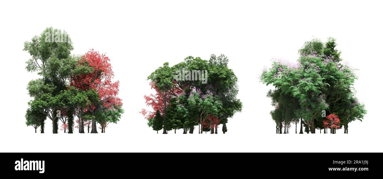 group of trees isolated on a white background, forest, sketch, outline ...