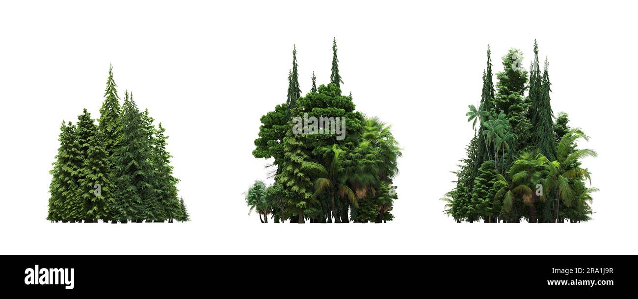 group of trees isolated on a white background, forest, sketch, outline ...