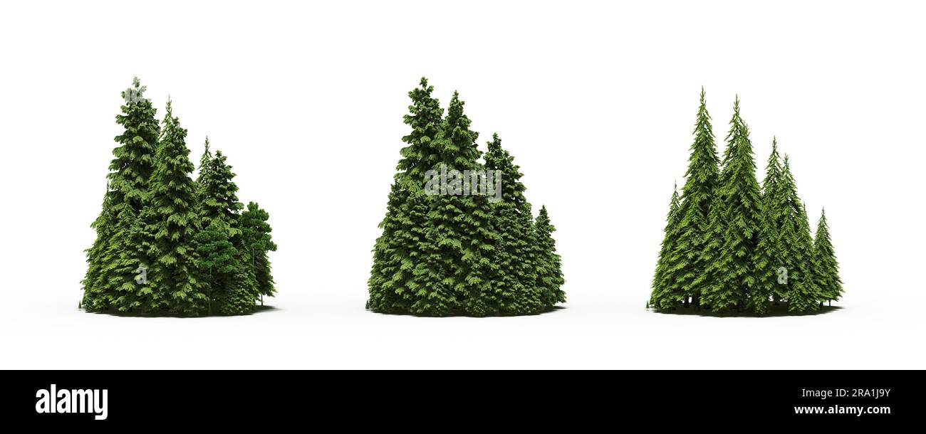 group of trees with a shadow under it, isolated on white background, 3D ...