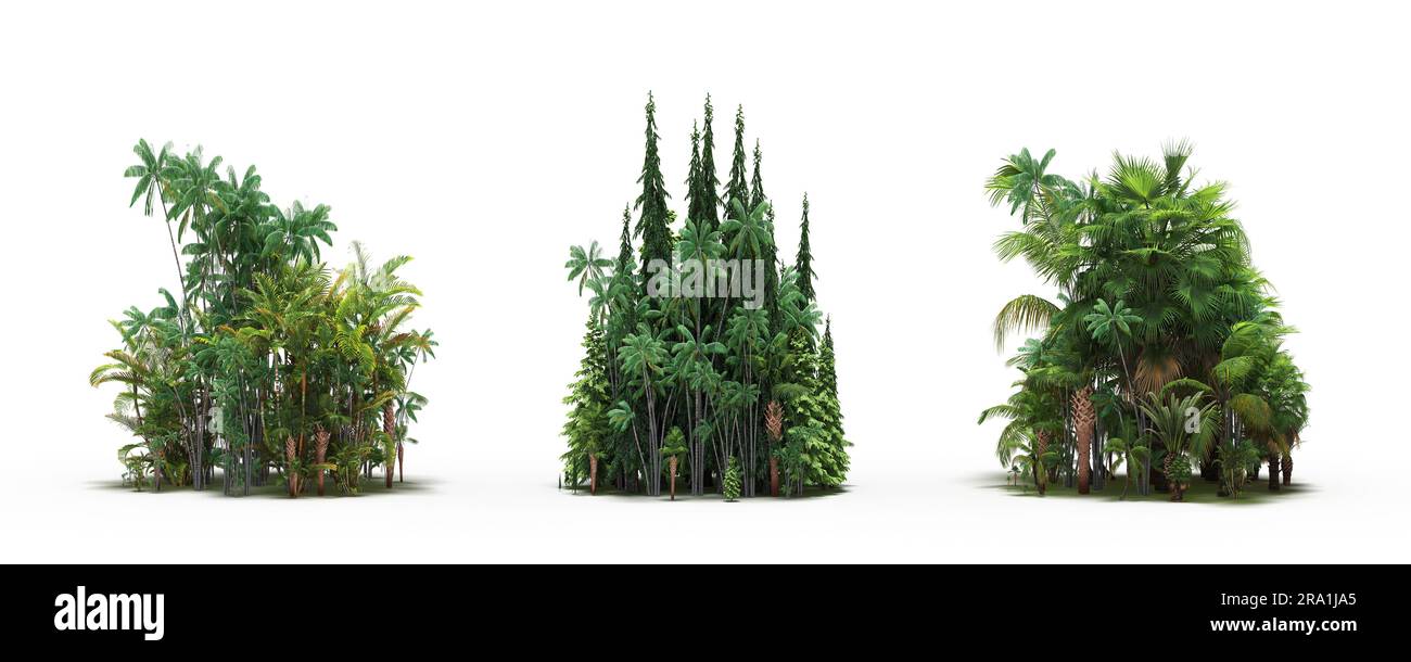 group of trees with a shadow under it, isolated on white background, 3D ...