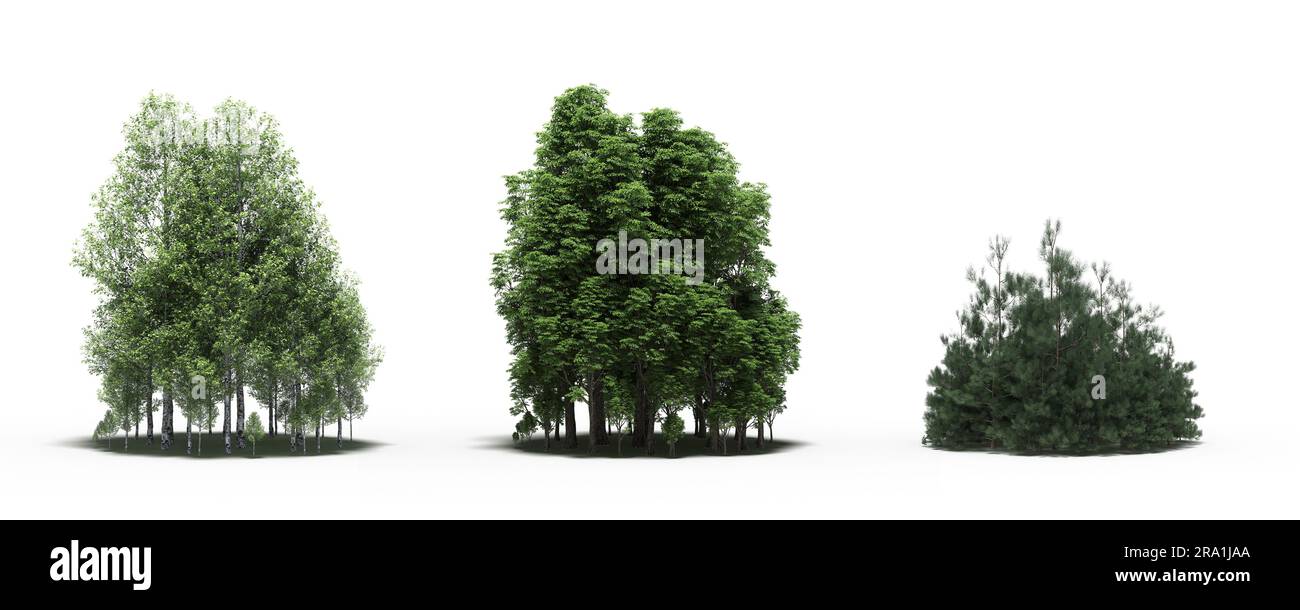 group of trees with a shadow under it, isolated on white background, 3D ...