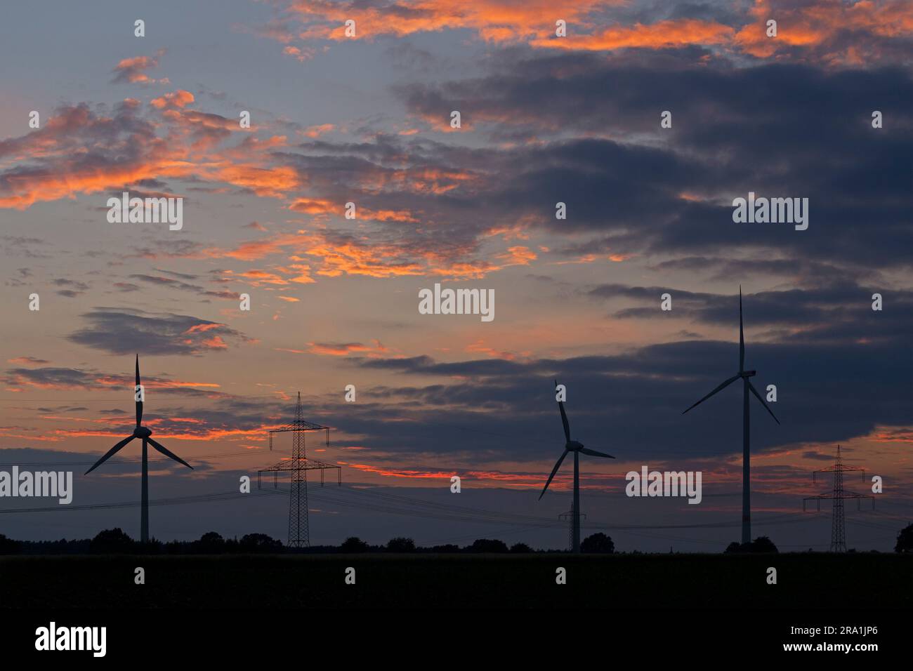 Wind power stations and pylons in front of evening sky, afterglow ...