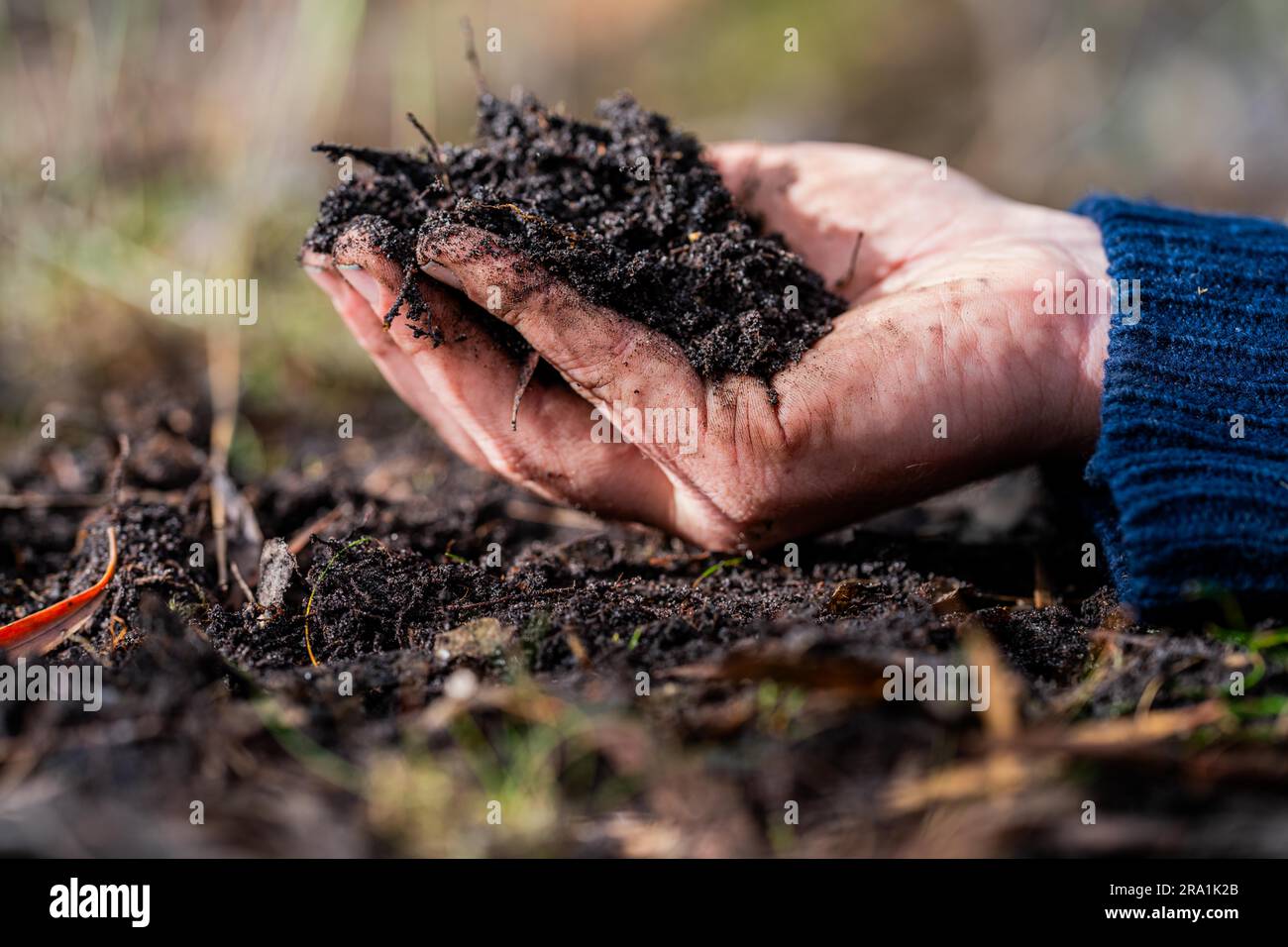 regenerative organic farmer, taking soil samples and looking at plant ...