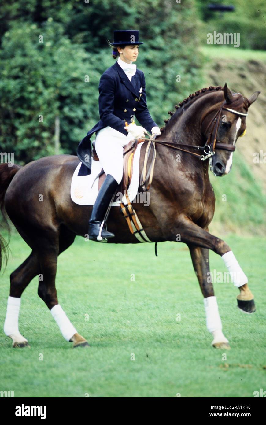 Nicole Uphoff, deutsche Dressurreiterin, Deutschland um 1992 Stock ...