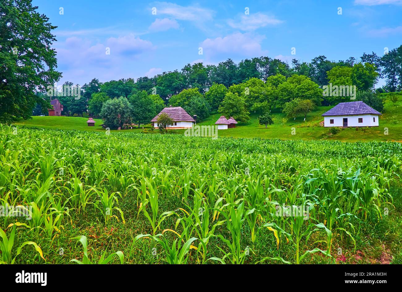 Old houses in ethnographic hi-res stock photography and images - Alamy