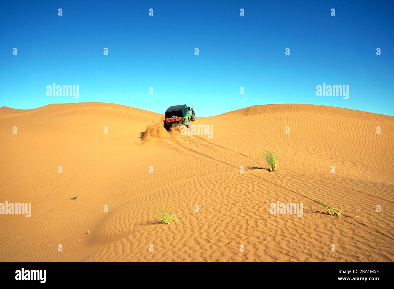 Sahara wrangler hi-res stock photography and images - Alamy