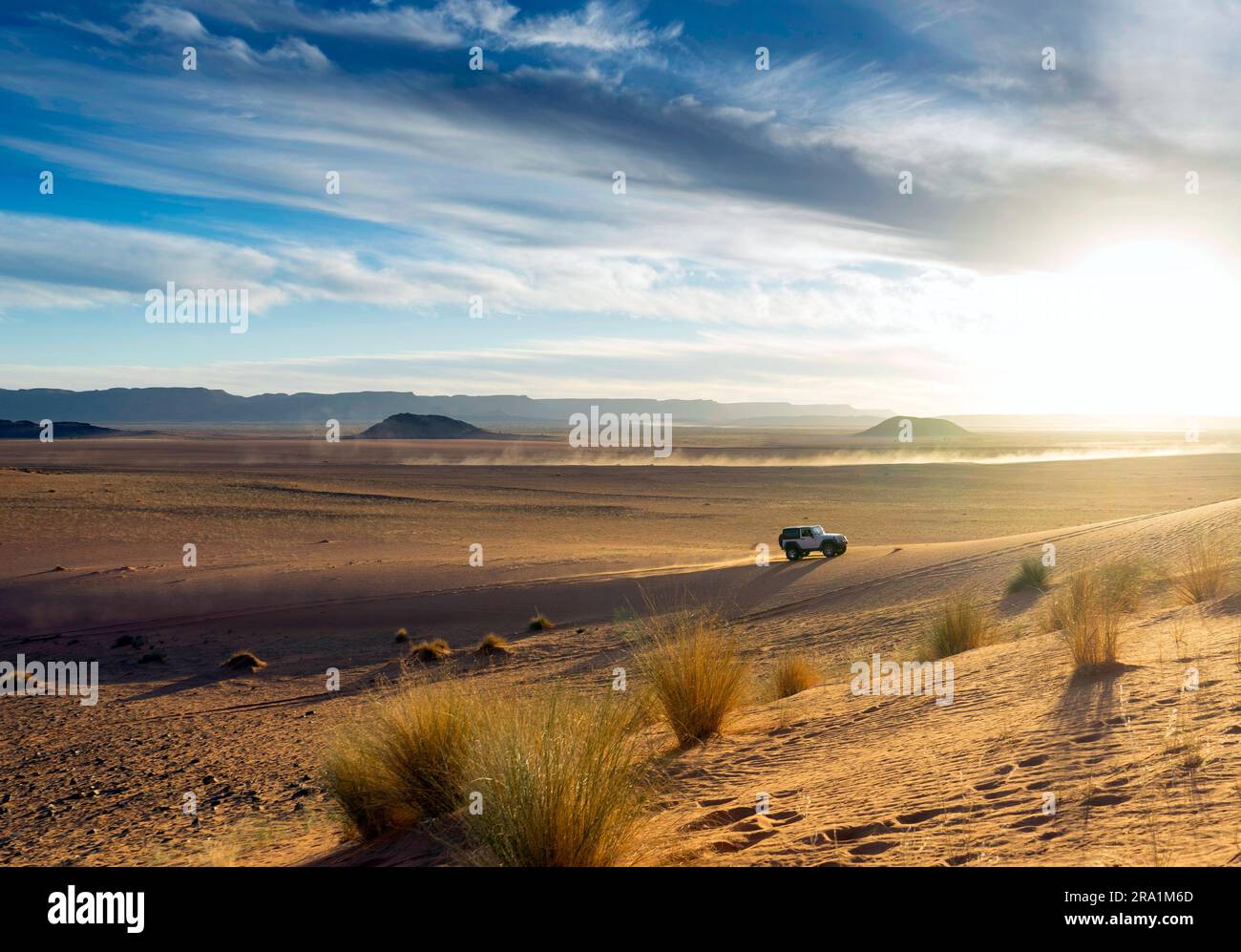 Sahara wrangler hi-res stock photography and images - Alamy