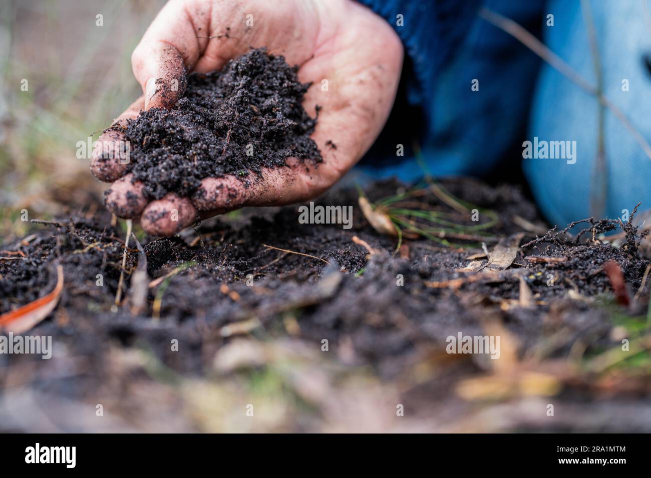 regenerative organic farmer, taking soil samples and looking at plant ...