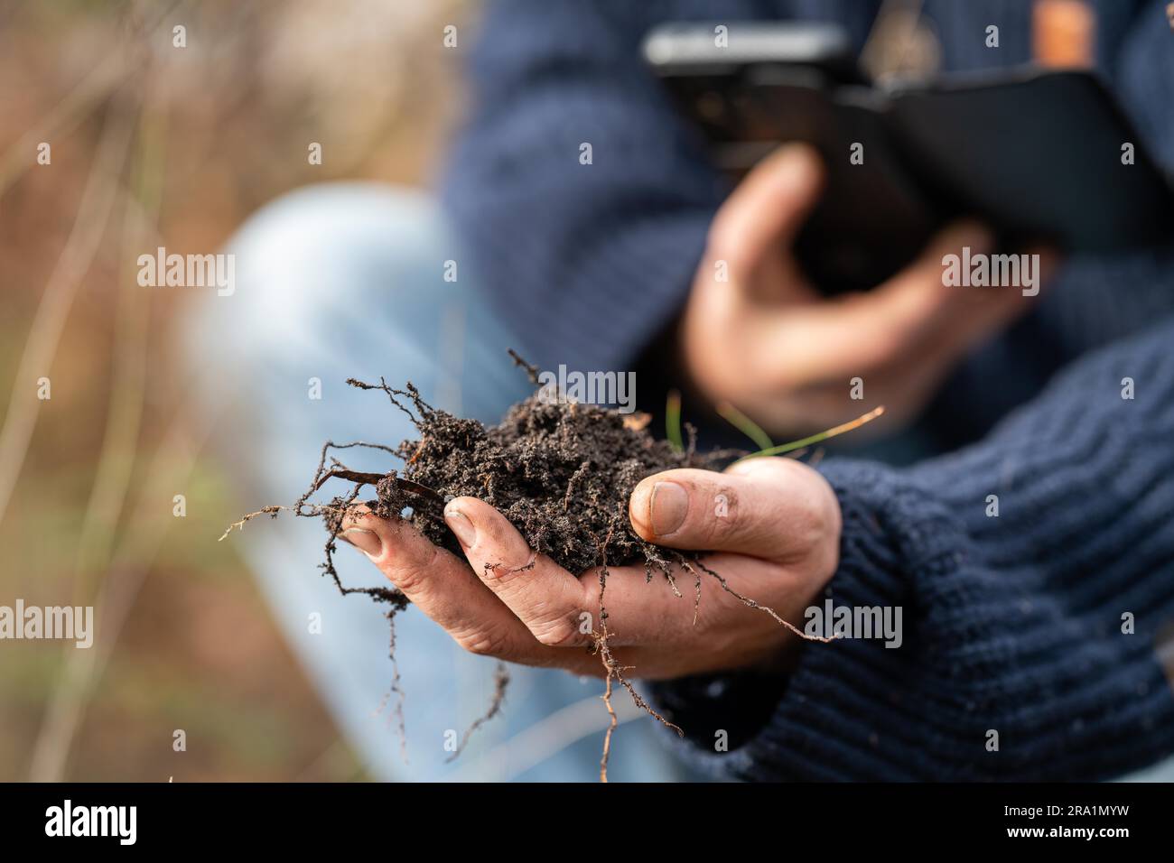regenerative organic farmer, taking soil samples and looking at plant ...