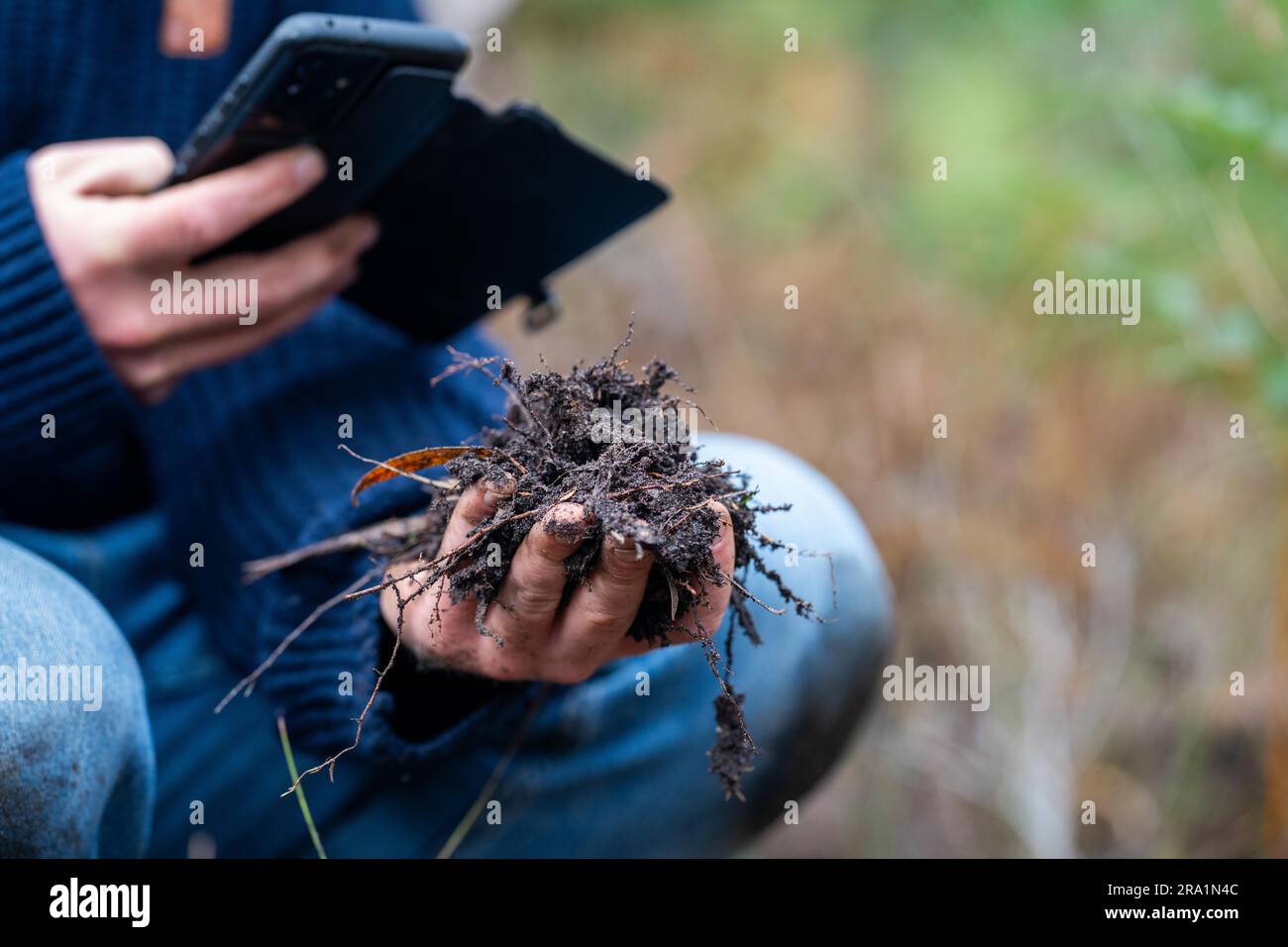 farmer in agriculture looking at a soil sample, on a farm in spring ...