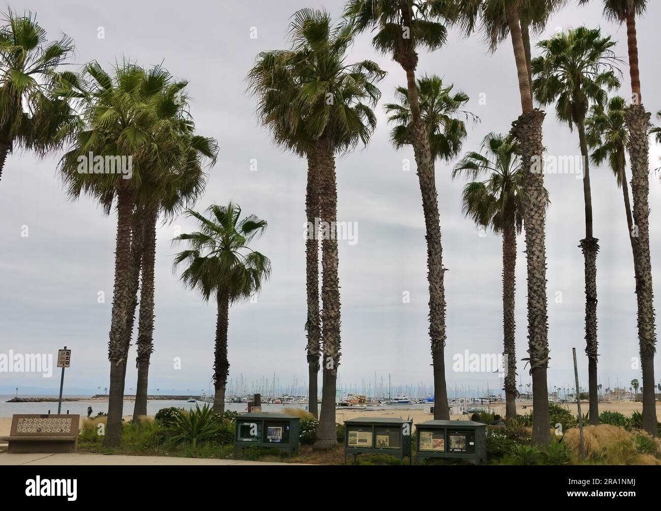 Landscape view from East Cabrillo Boulevard with palm trees and ...