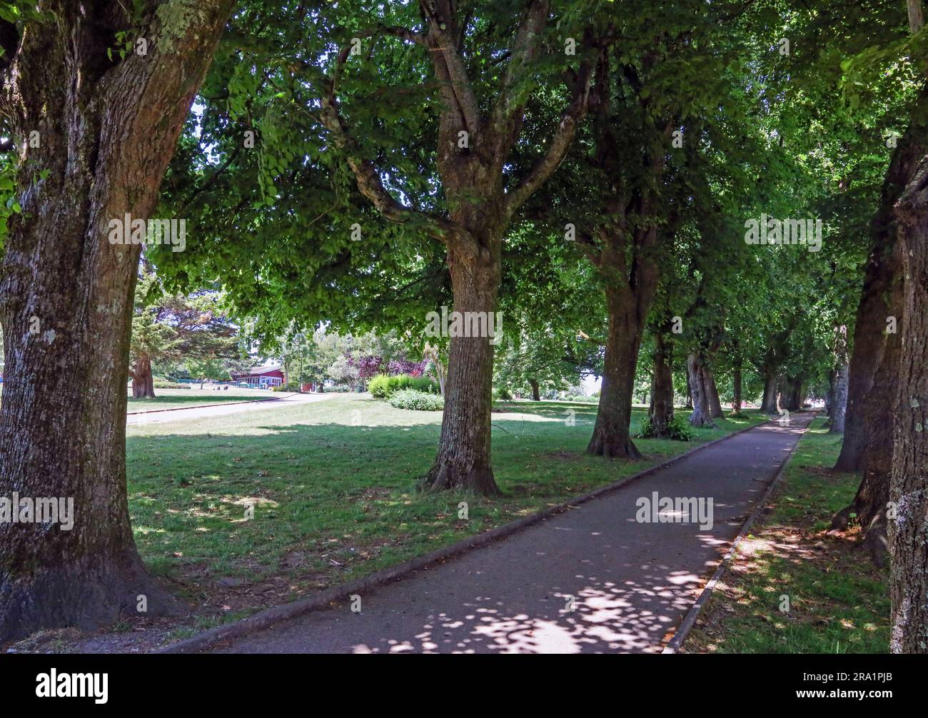 The Pavilion Cafe in Devonport Park, Plymouth is a popular place to ...