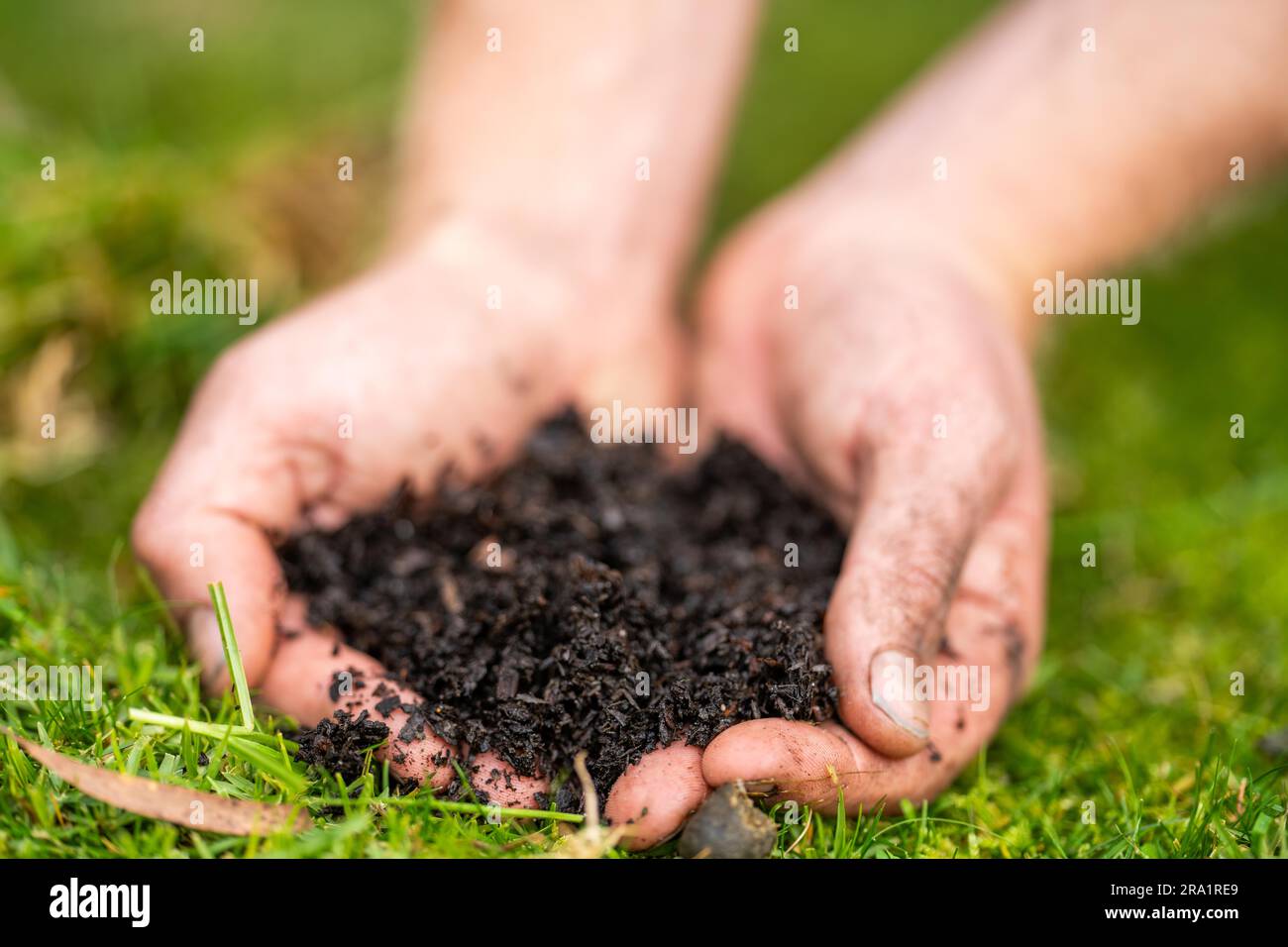 farmer holding soil in his hand on a farm in australia, carbon storage ...