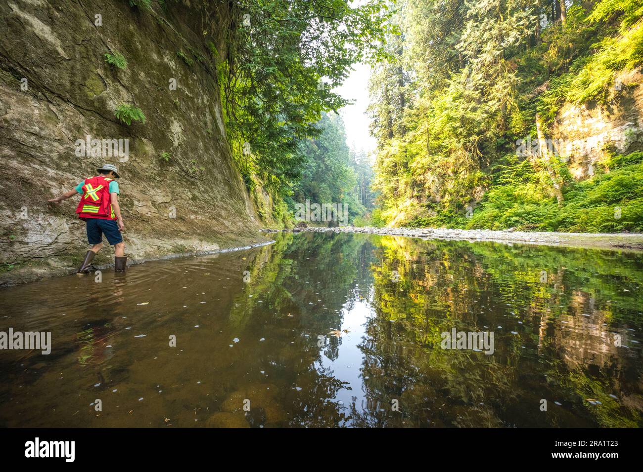 Conducts survey hi-res stock photography and images - Alamy