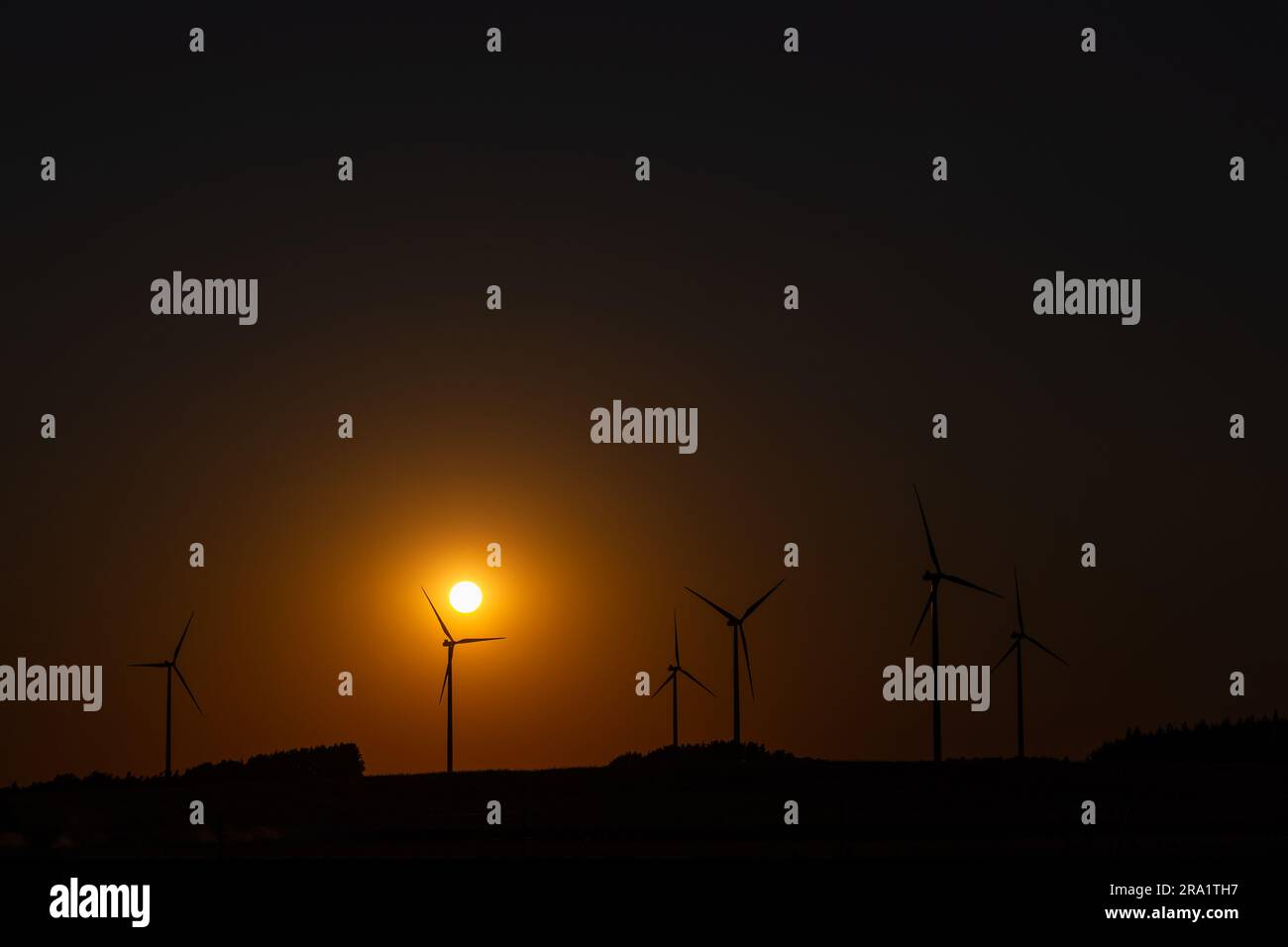 Many wind turbines spinning slowly against an orange sky during sunset ...