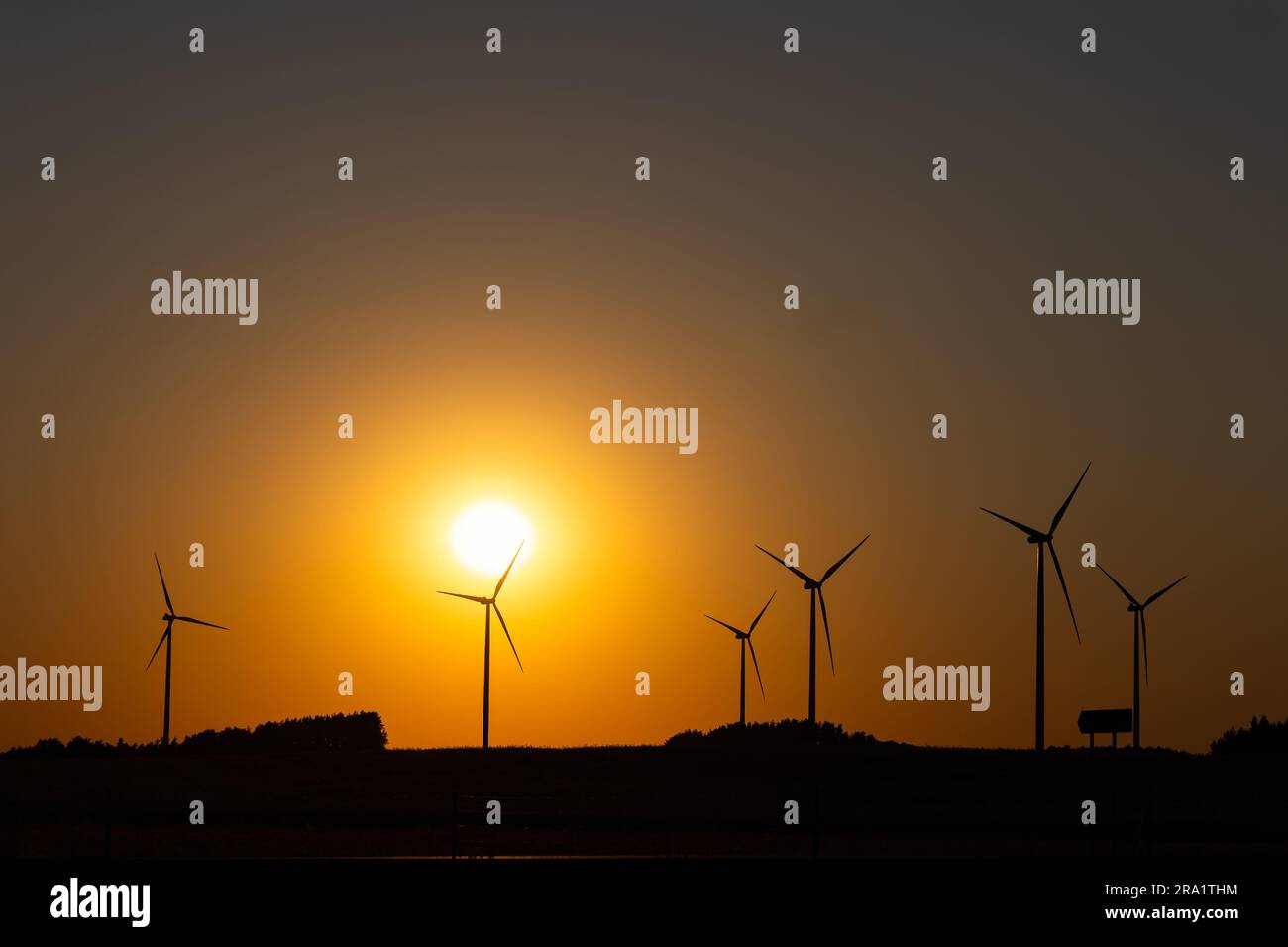 Many wind turbines spinning slowly against an orange sky during sunset ...