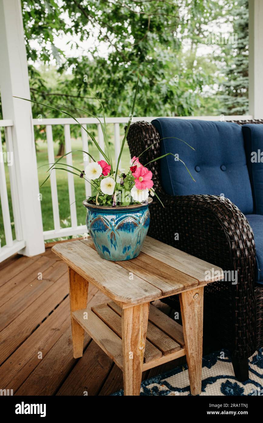 Pot of plants with a blue couch on outdoor patio Stock Photo - Alamy