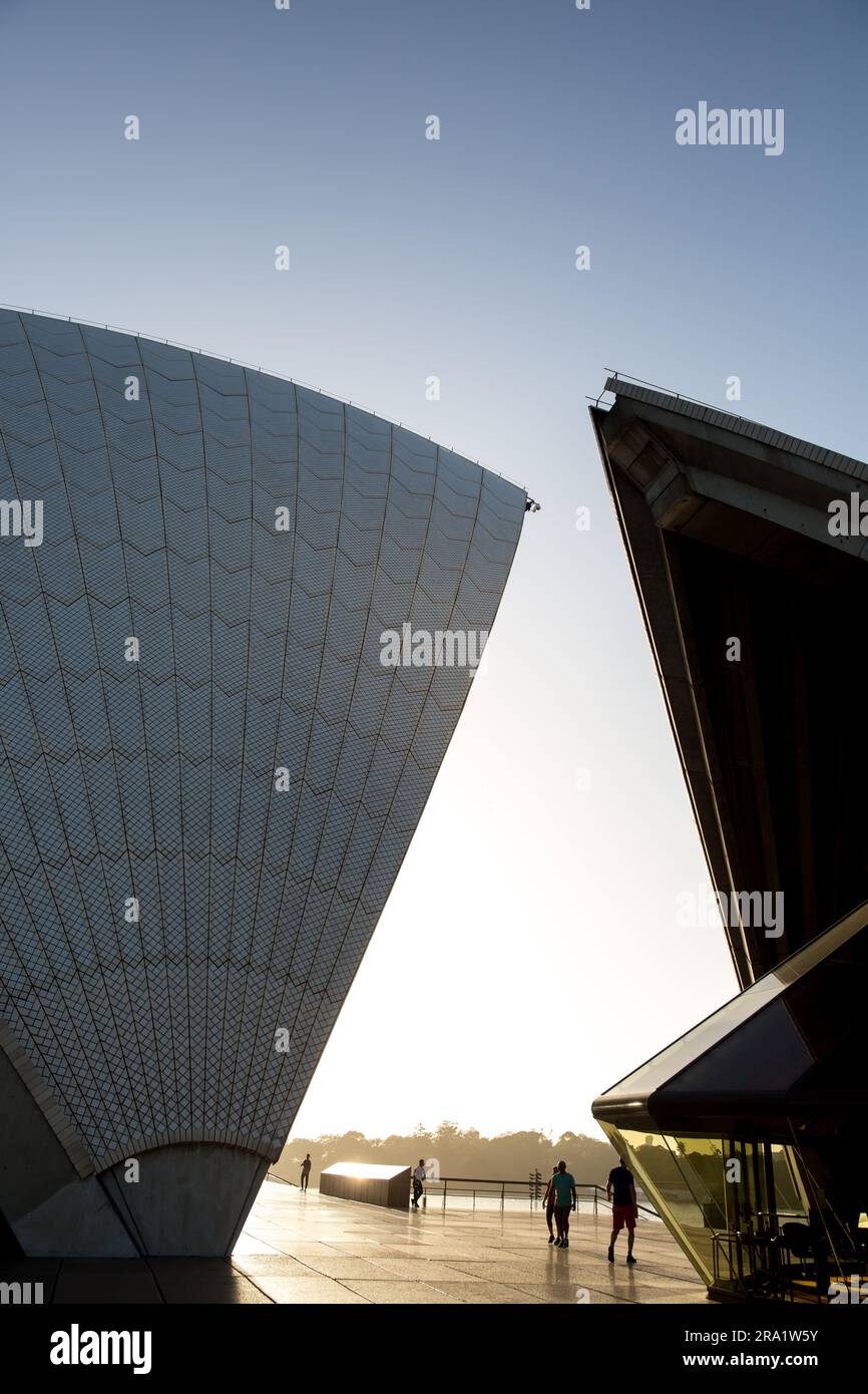 Close up of Shells of Sydney Opera House at sunset Stock Photo - Alamy