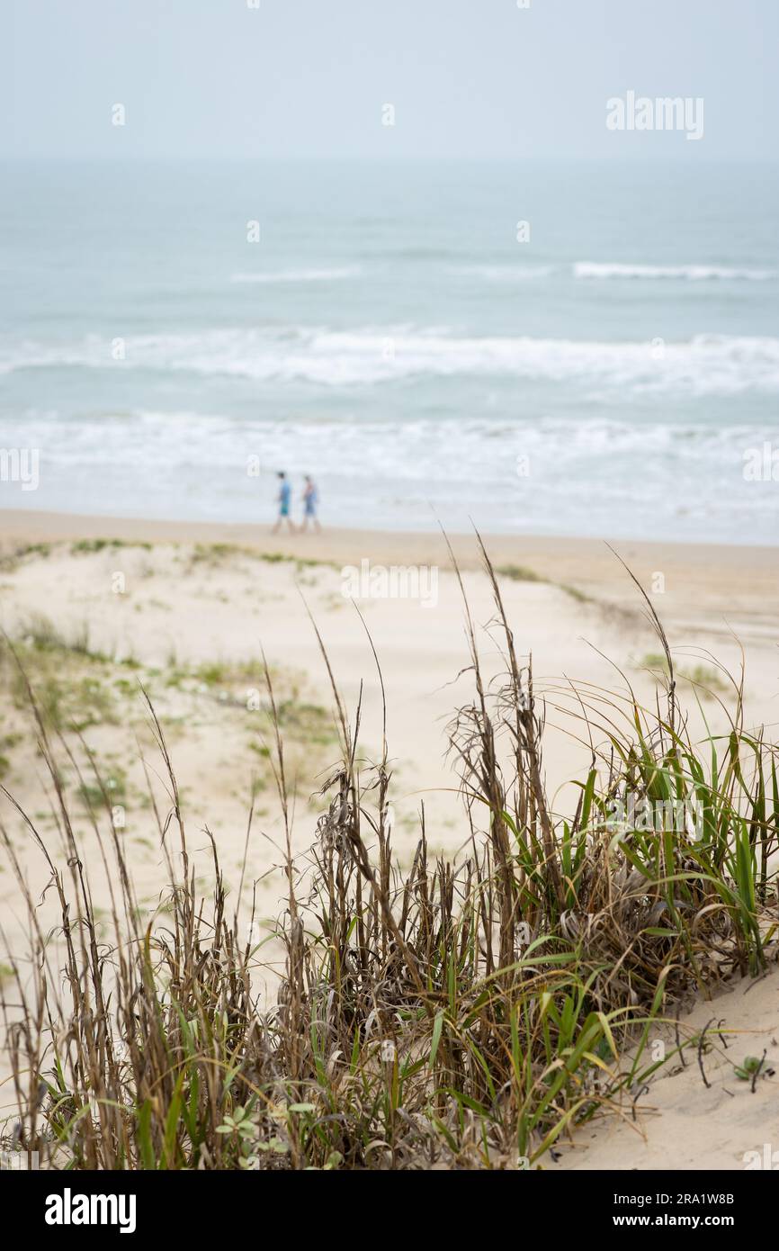 Sand dunes on padre island hi-res stock photography and images - Alamy