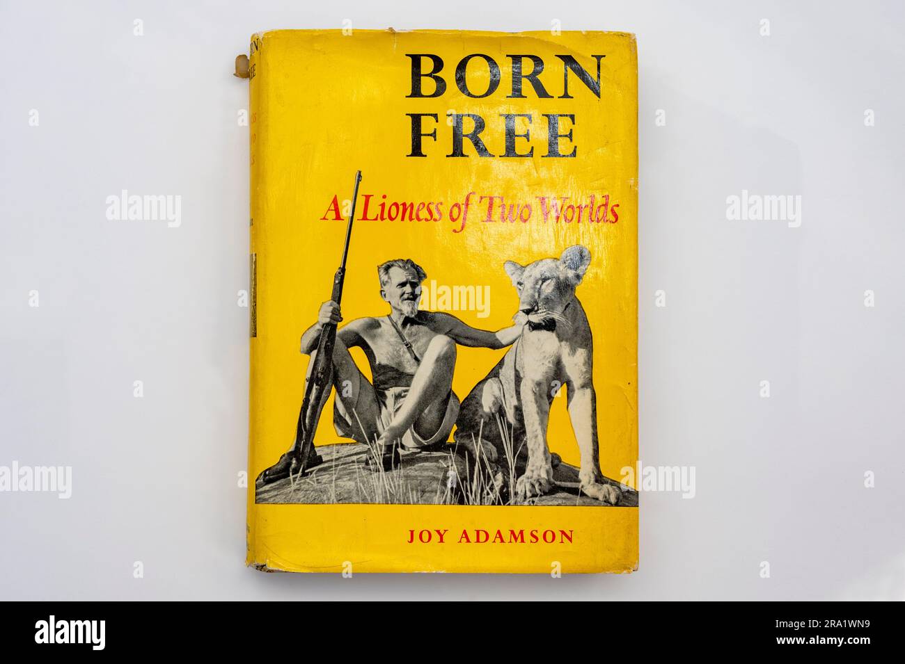 Born Free Joy Adamson Stock Photo - Alamy