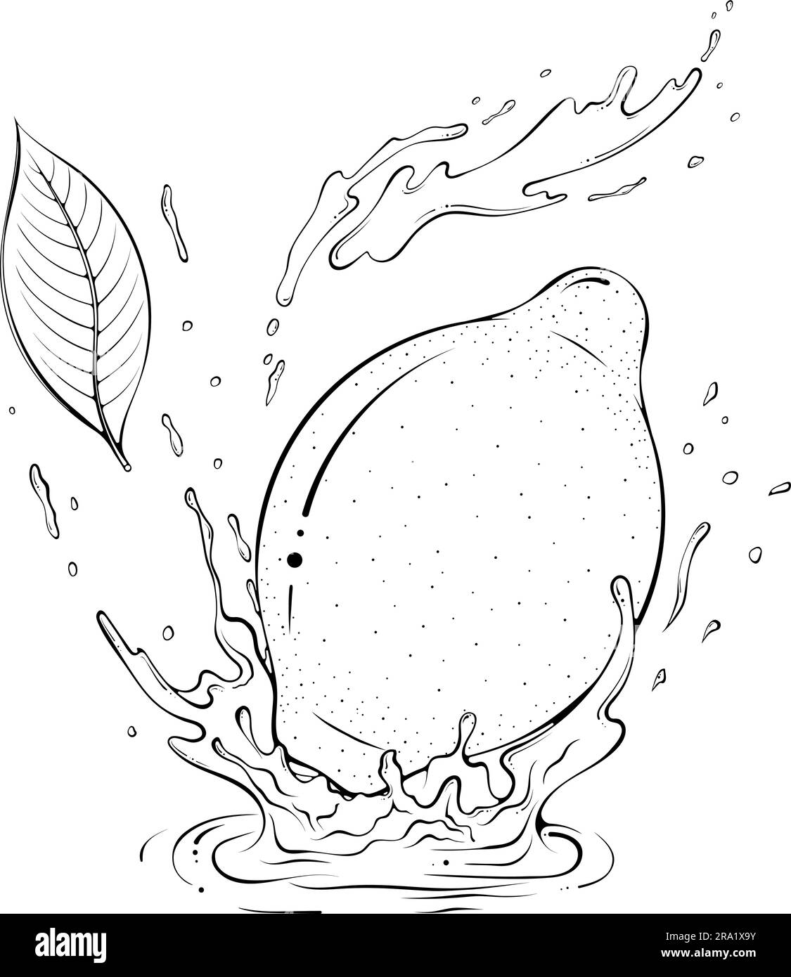 Whole lemon with splash line art Stock Vector Image & Art - Alamy
