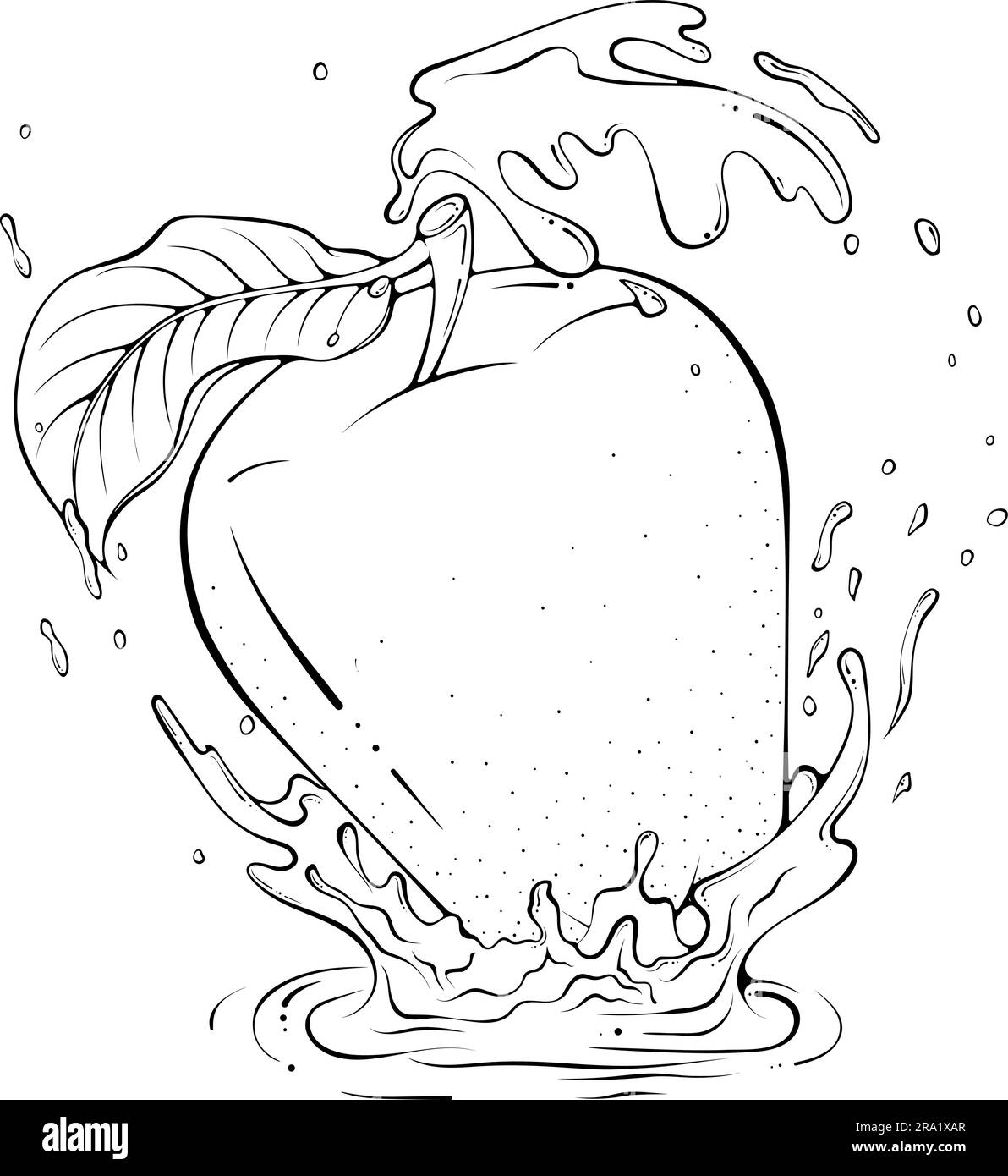 Whole apple with splash line art Stock Vector Image & Art - Alamy