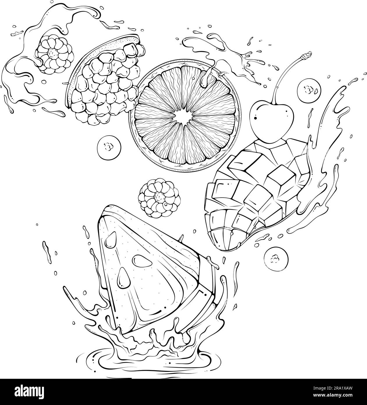Flying cut fruit with splashes of water line art Stock Vector Image ...