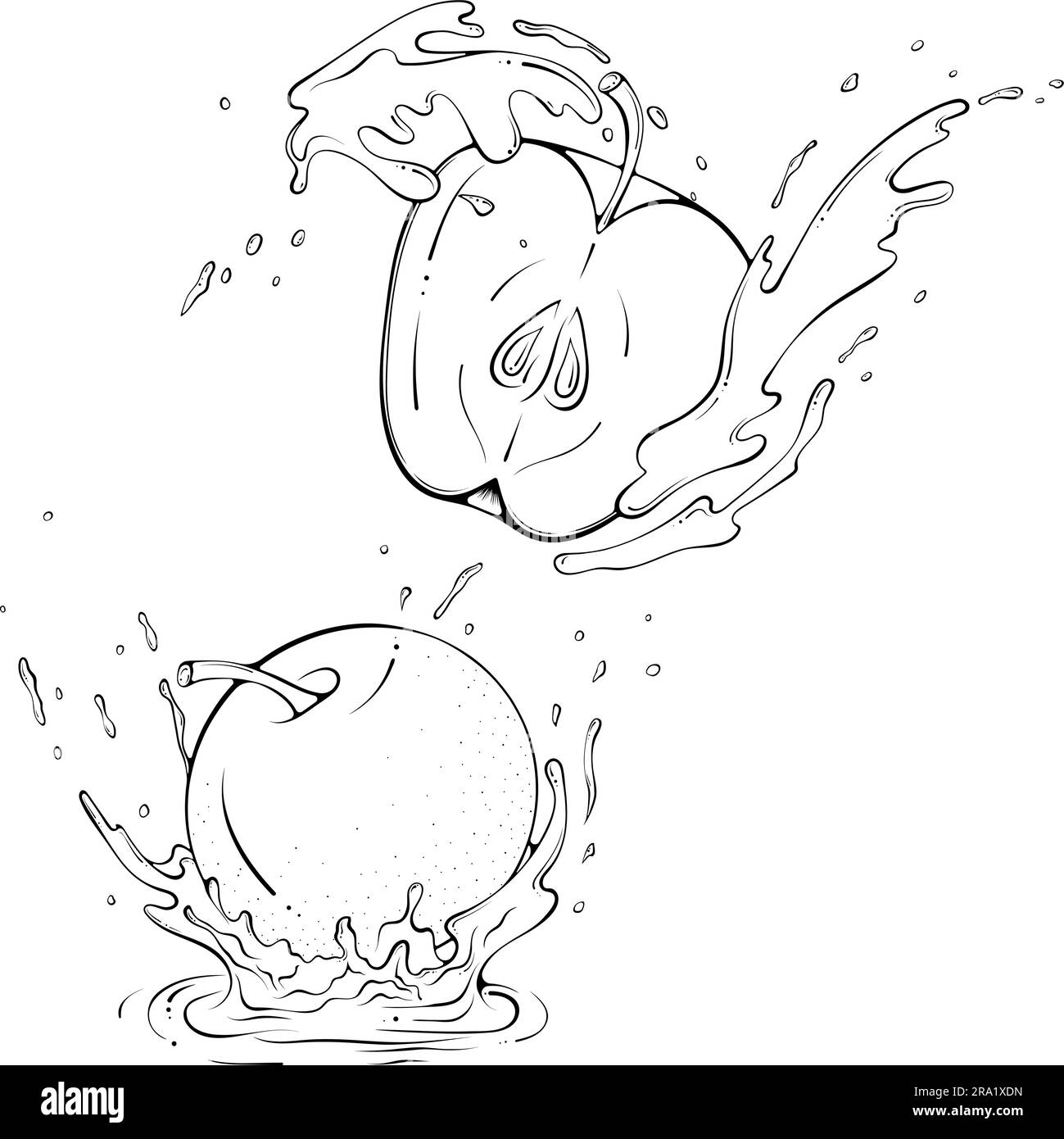 Whole and half apple with splash line art Stock Vector Image & Art - Alamy