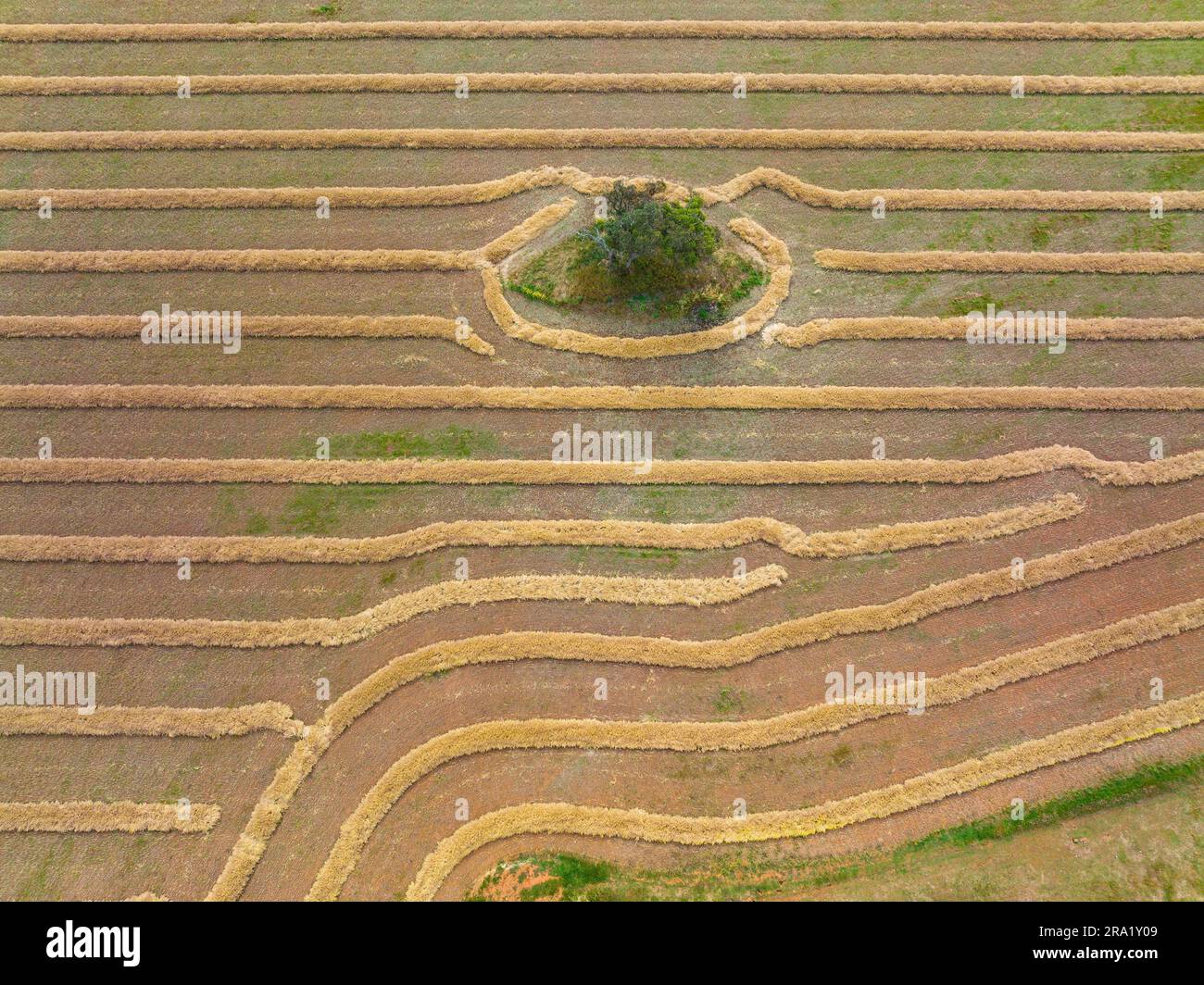 Aerial view of patterns in a harvested field at Moolort in Central ...