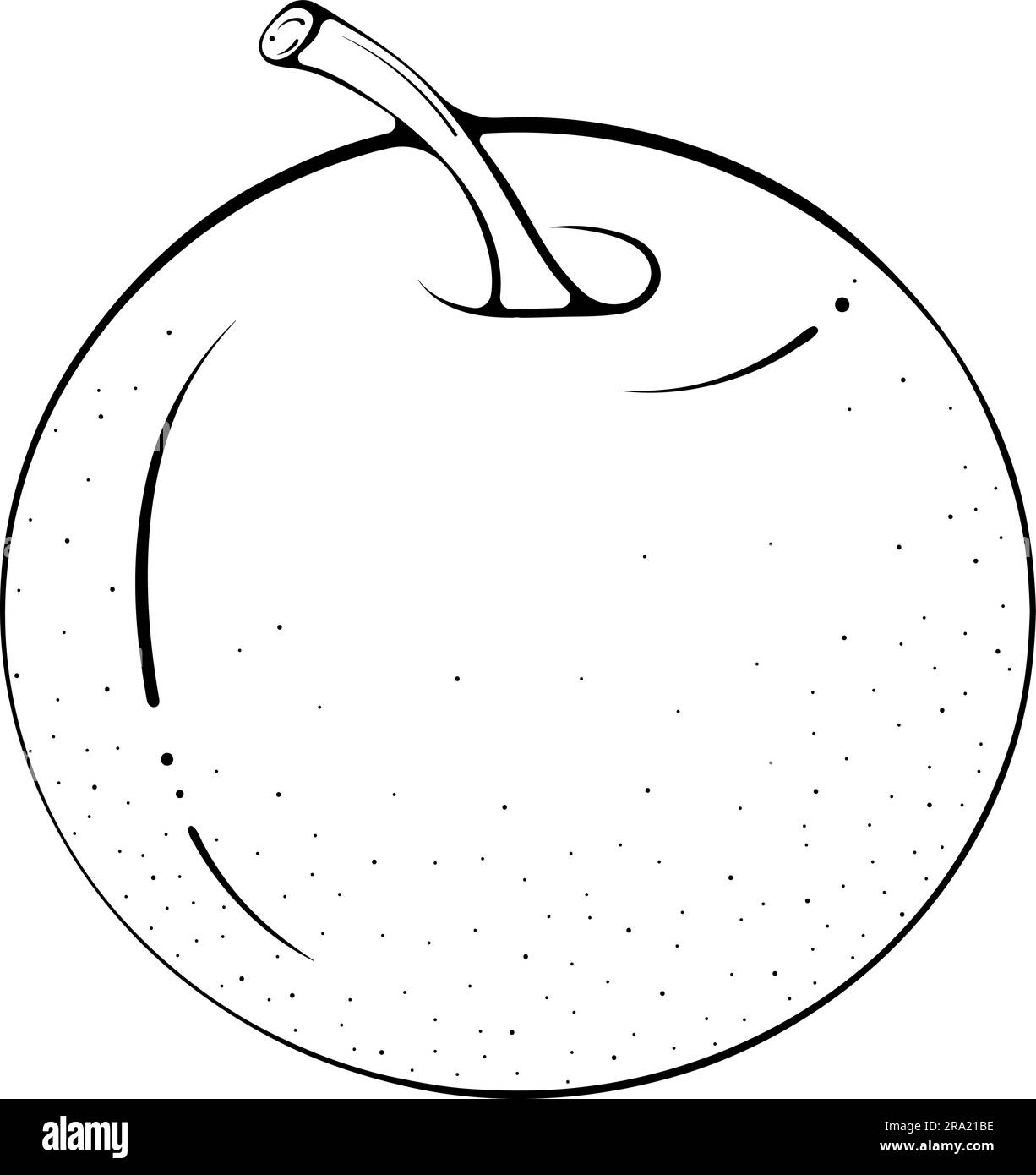 Whole round apple with leaf line art Stock Vector Image & Art - Alamy