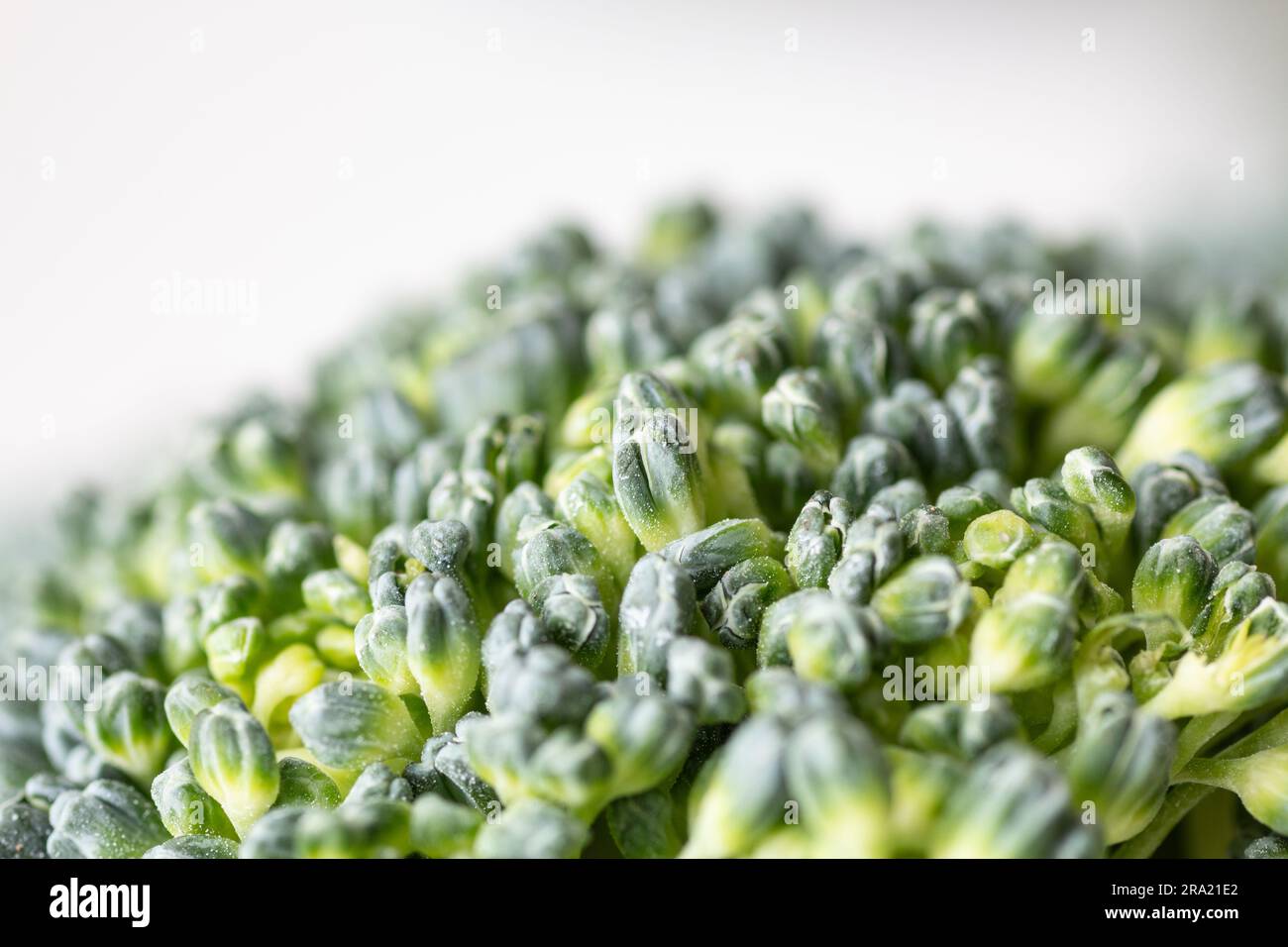Broccoli bud hi-res stock photography and images - Alamy