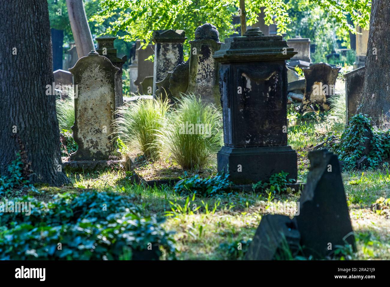 The Elias Cemetery in Dresden, Germany, has been disused since 1876 and ...