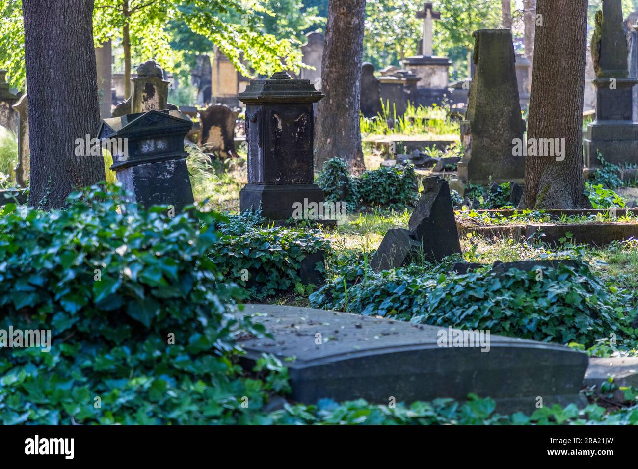 At the Elias Cemetery in Dresden, hardly any changes have been made ...